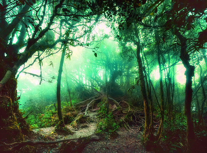 Living and Dying in an Inhospitable World | Paul Anderson Youth Home